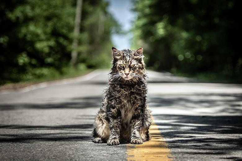 Pet Sematary (2019): The Abridged Script | The Editing Room